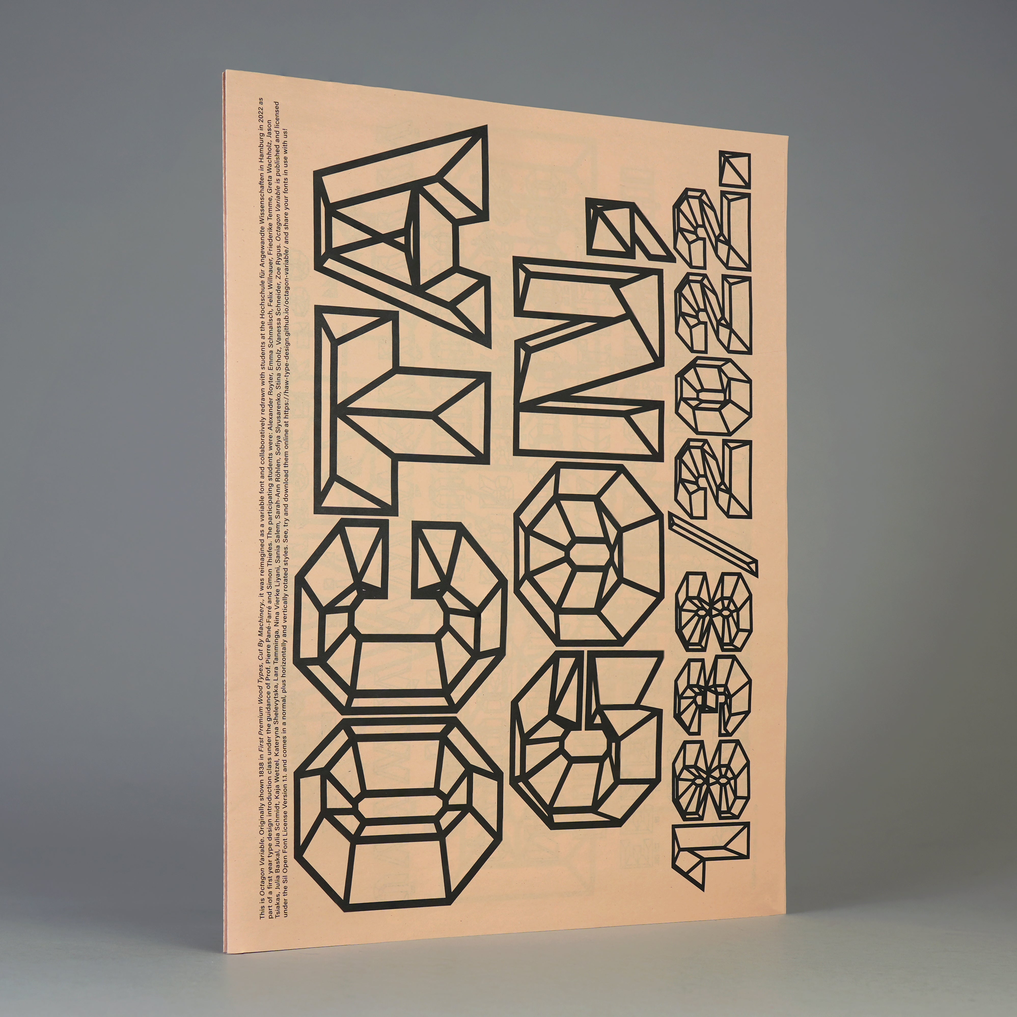 Octagon Variable Type Specimen – Draw Down