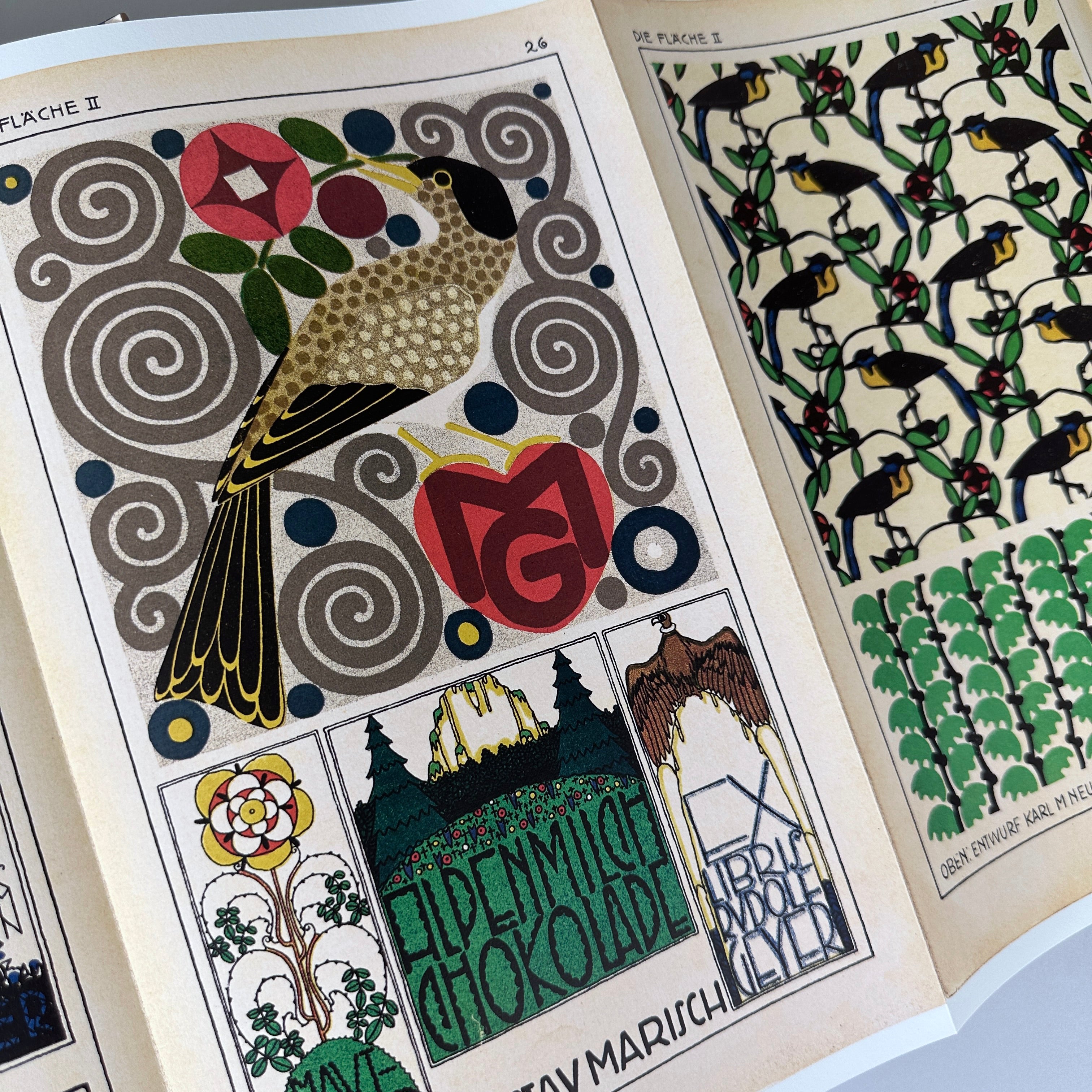 Die Fläche: Design and Lettering of the Vienna Secession, 1902–1911 ...