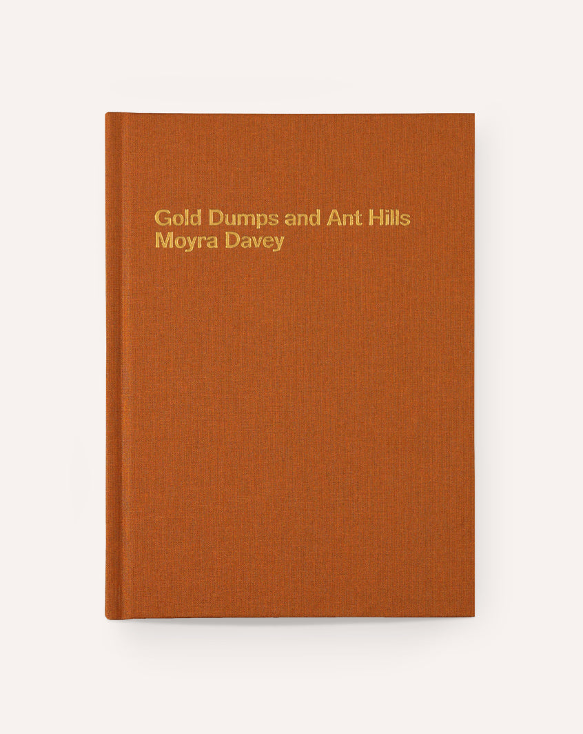 Gold Dumps and Ant Hills / Moyra Davey – Draw Down